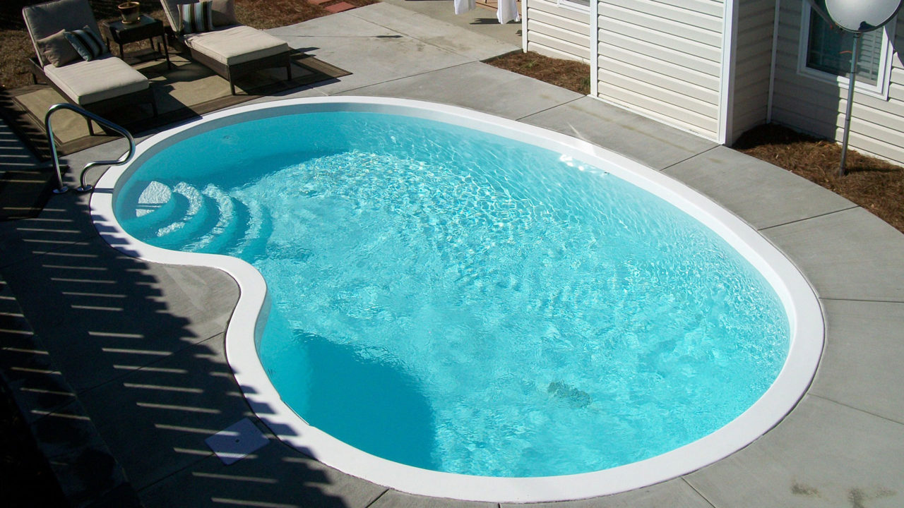 June Bug | Alaglas Swimming Pools